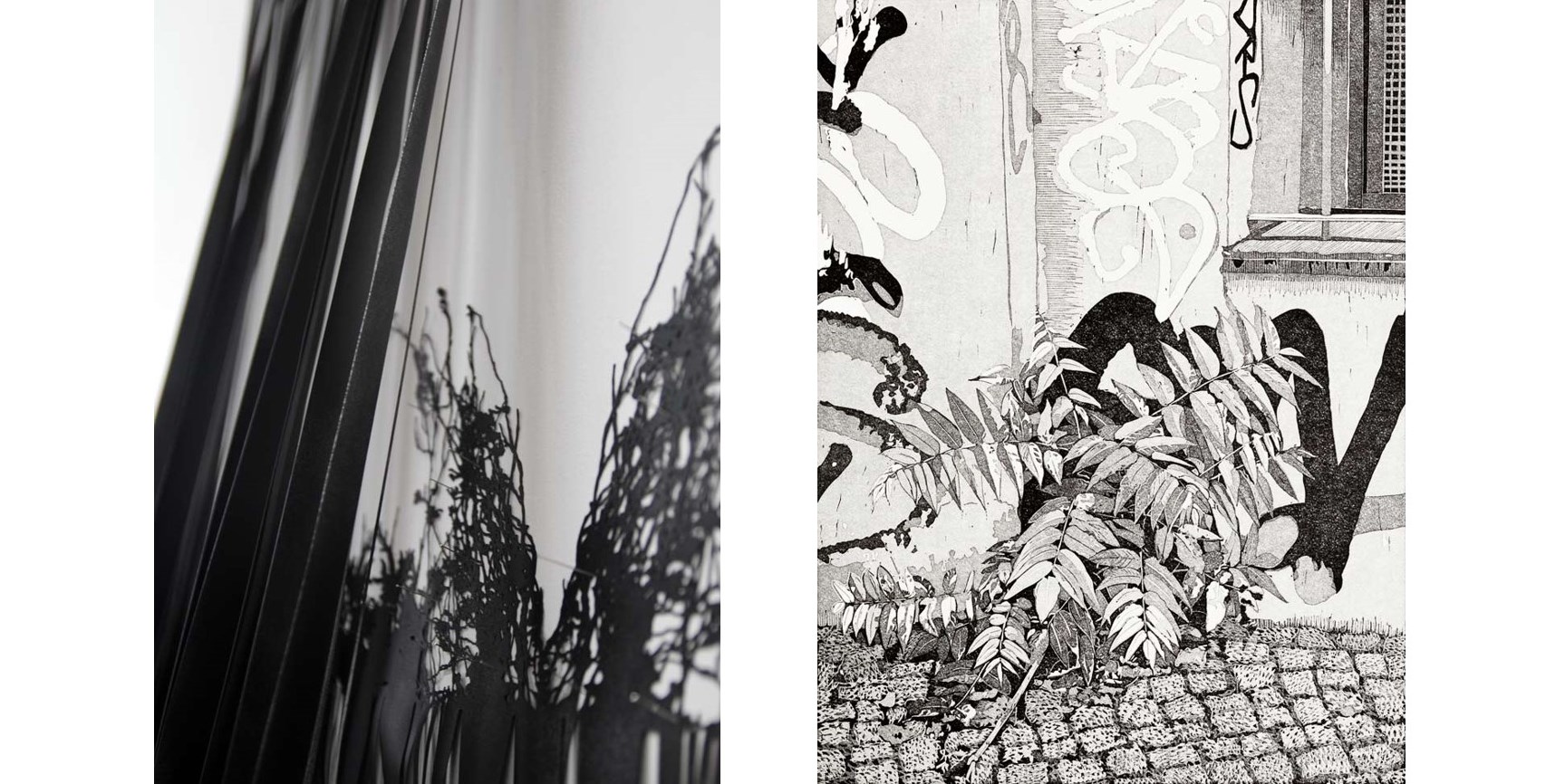 CUT BY CUT - Vernissage Freitag, 6. Dezember 2024, 19 Uhr