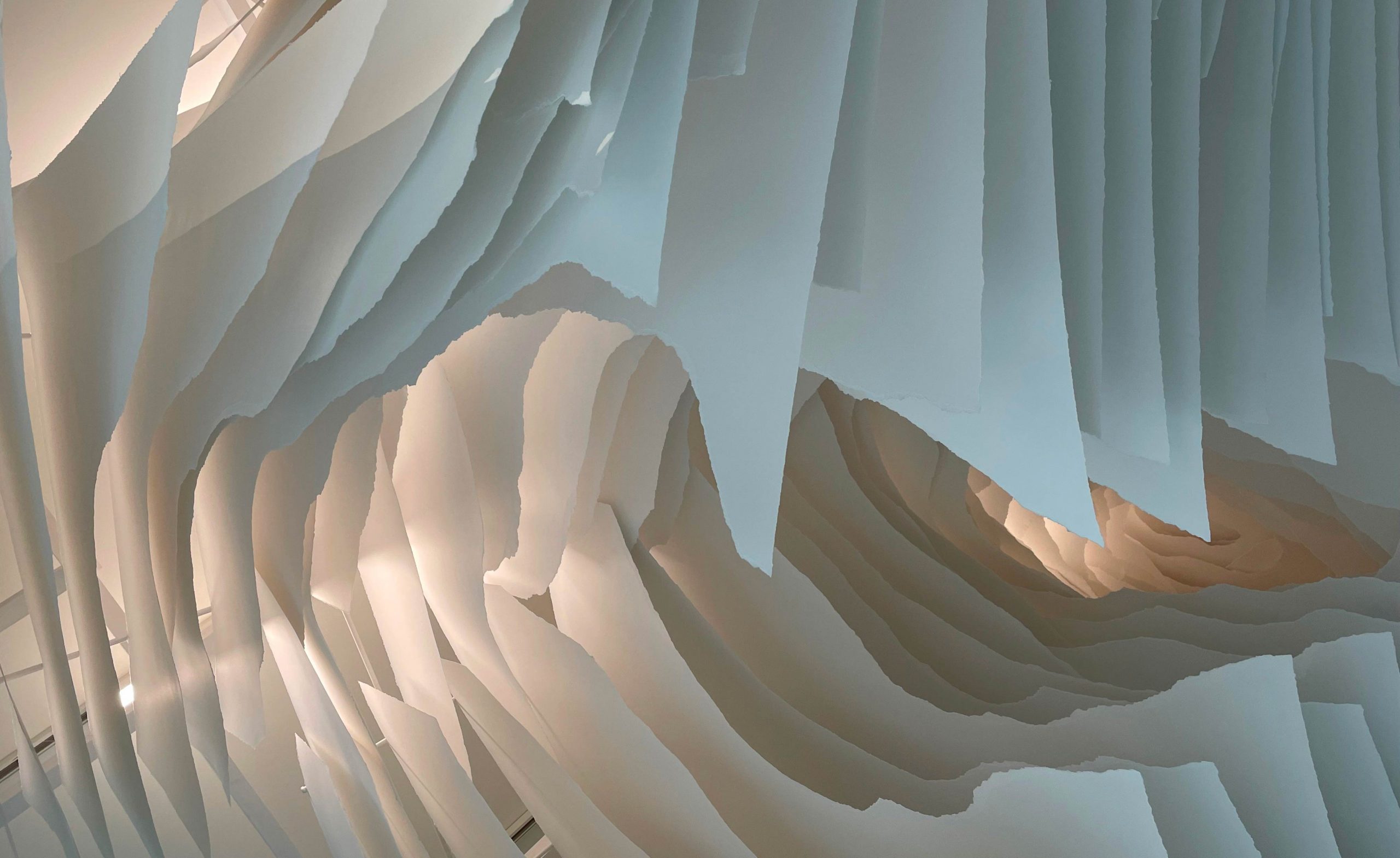 Verschaffen Sie sich Einblick! Vernissage Freitag, 14.03., 19 Uhr